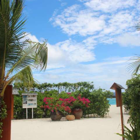 Tting的抖音 - 抖音